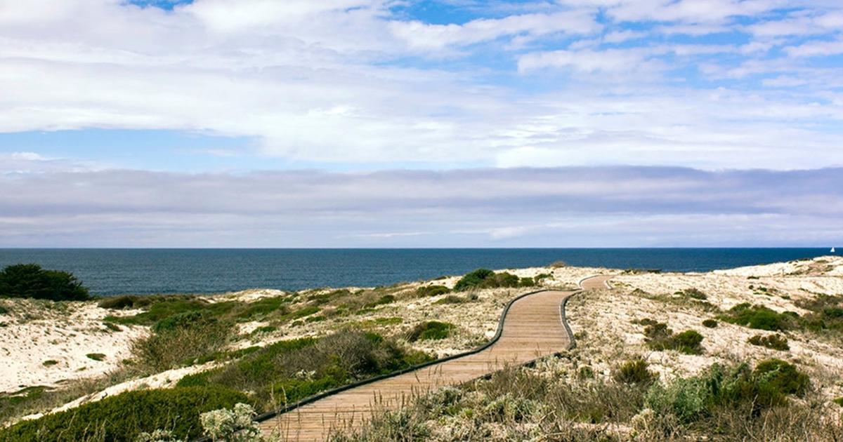 Request Info - Blue Sky Leadership Certificate | CIIS